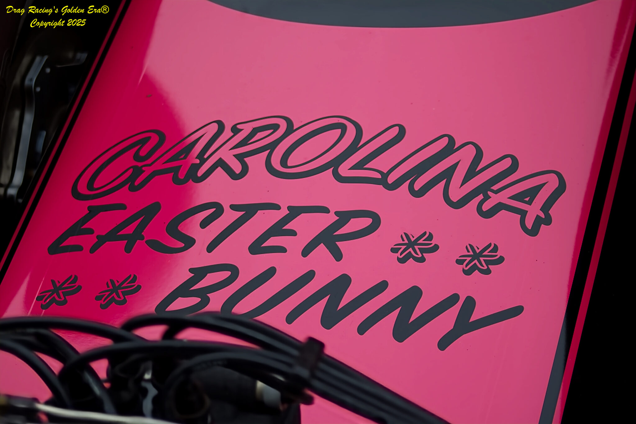 Steve Reyes: Northern California Drag Racing Drag Racing's Golden Era®